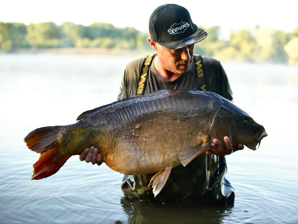 Individual Baits